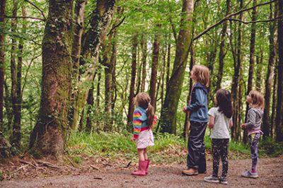 Forest School - The Nature Hub